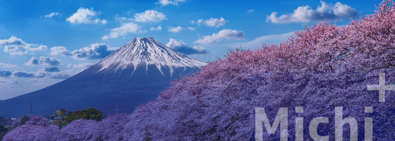 Home - Michitas International